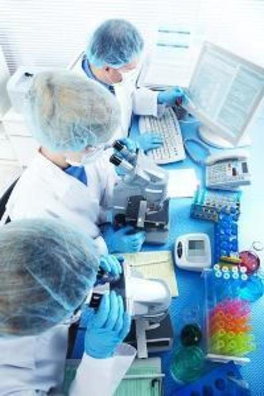 Training: Natuurwetenschappen Basis - Springest